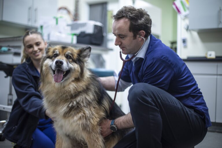 Dr Danny Chambers MP | Author at Parliament Politics Magazine